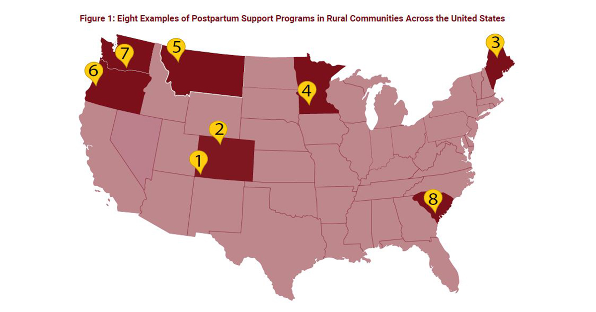 Publication Details: Eight Postpartum Support Programs in Rural ...